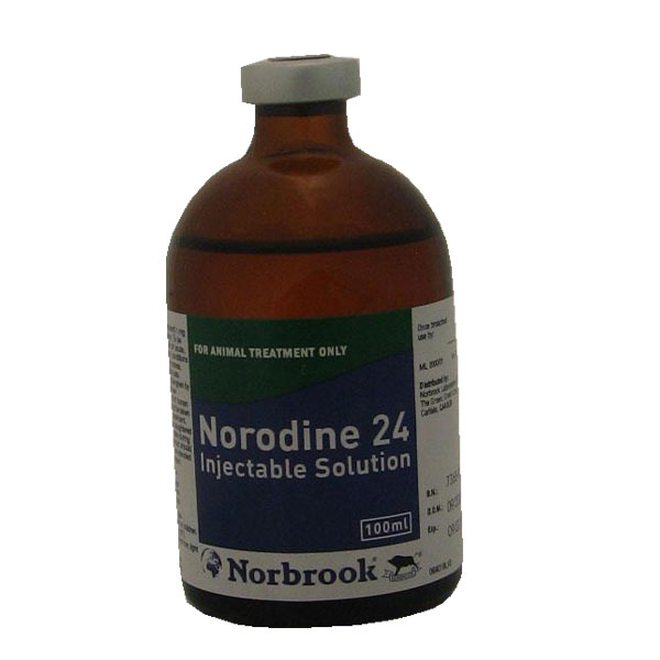 Norodine 24 | قیمت و خرید Norodine 24 ؛ نقد و بررسی کامل محصول | دارودار